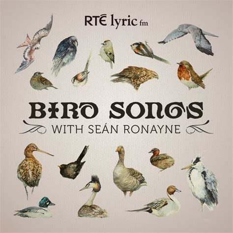 Bird Songs With Seán Ronayne RtÉ Podcasts