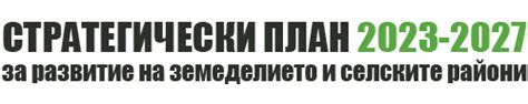 За Стратегическия план