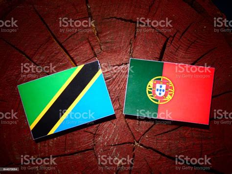 고립 된 나무 등 걸에 포르투갈 플래그로 탄자니아 플래그 0명에 대한 스톡 사진 및 기타 이미지 0명 Friendly Match 개념 Istock