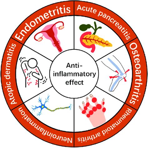 Anti Inflammatory Effects Of Apigenin Download Scientific Diagram
