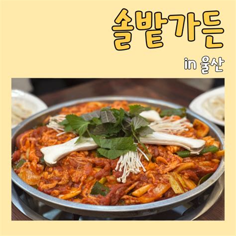 울산 성안동 솔밭가든 오리불고기 로컬맛집 네이버 블로그 울산 성안동 솔밭가든 오리불고기 로컬맛집 네이버 블로그