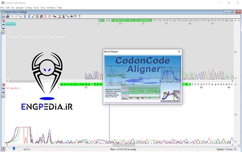 نرم افزار Codoncode Aligner 2024 تحلیل توالی‌های ژنتیکی Dna و Rna Engpedia