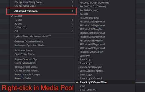 Color Managed Workflow For Netflix In Resolve Aces — Sudip Shrestha Digital Colourist
