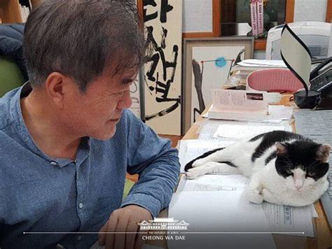 ‘토리‧찡찡이‧마루문 대통령 반려동물들 어떻게 지내나 일요신문