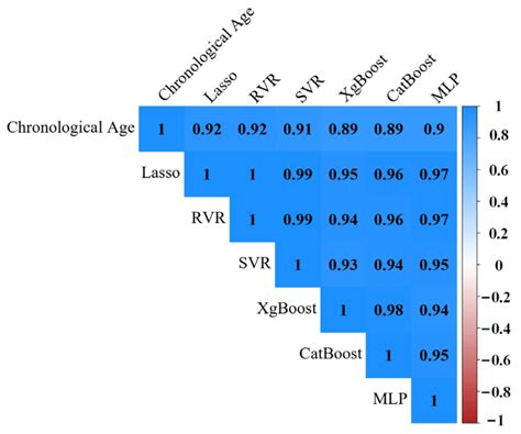 Comparison Of Machine Learning Models For Brain Age Prediction Using