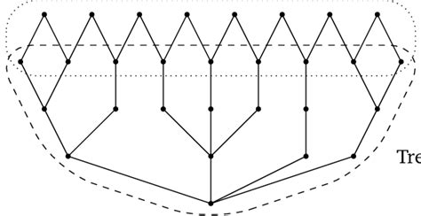 An Example Sawed Tree The Planarity Condition On ≺ Ensures That The Download Scientific Diagram