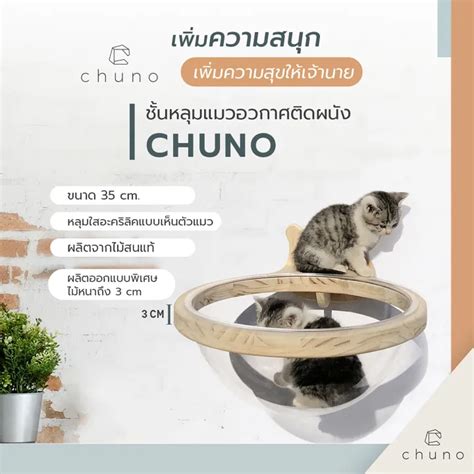 ไม้หนา 3 Cm ชั้นแมวอวกาศติดผนัง Chuno ออกแบบพิเศษ พร้อมหลุมใสอะคริลิคแบบเห็นตัวแมว Th