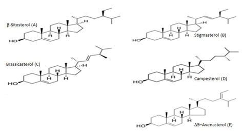 Structure Of β Sitosterol A Stigmasterol B Brassicasterol C Download Scientific