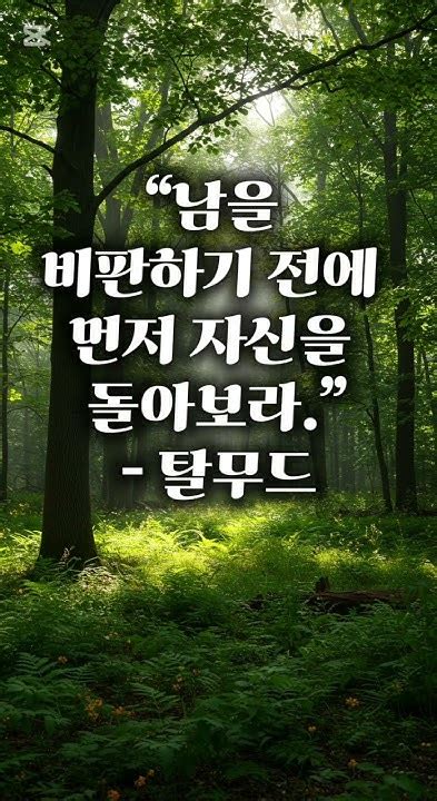 오늘의명언 오늘의명언 명언 긍정적마인드 긍정의말 긍정의한줄 좋은글 좋은말 동기부여명언 Youtube
