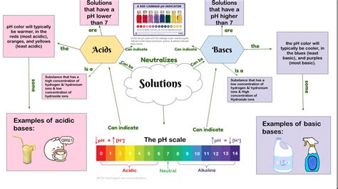 Acids Neutral And Bases Substances Scale With Examples Outline Diagram Acids Bases And Salts