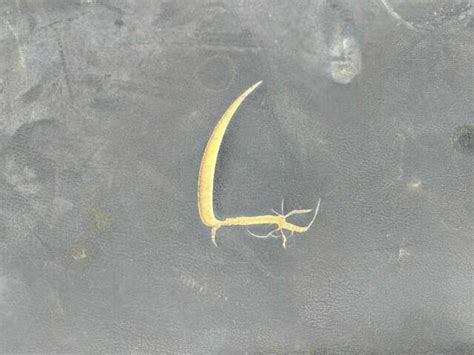 08 Polaris Ranger 700 Xp Seat Bottom Frame Assembly Sun Coast Cycle