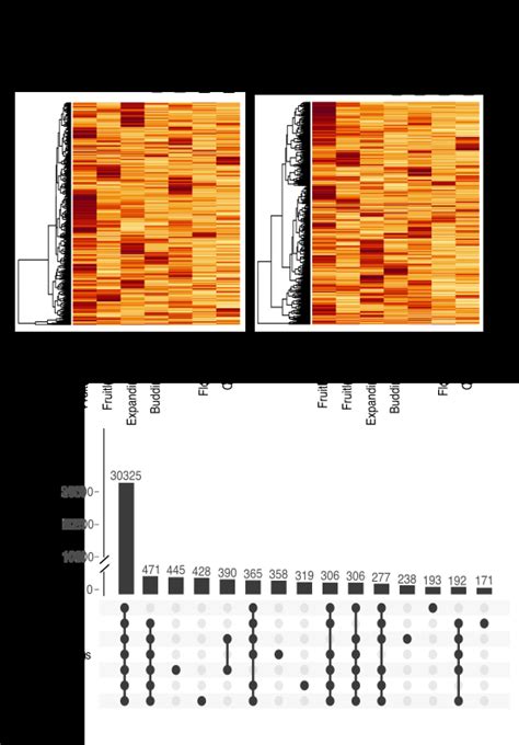 Gene Expression Characterization Heatmaps And Upset Plot Of Gene Download Scientific Diagram