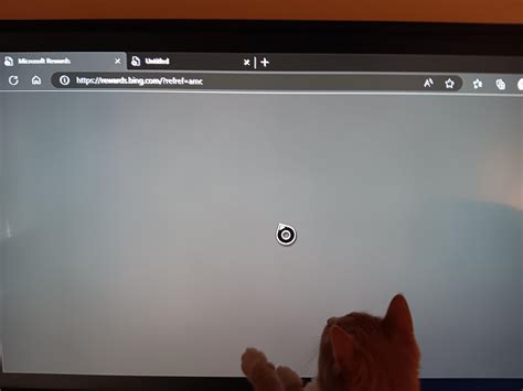 Microsoft Edge Browser Broken Rxboxsupport
