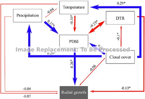 Sem Model Linking Environmental Variables To Radial Growth Positive Download Scientific