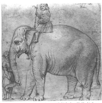 Hanno O Elefante Atrib A Rafaelgiulio Romano 1514 15 Desenho à Download Scientific