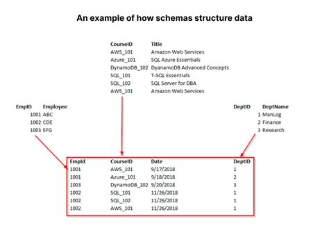 一文详解动态 Schema数据库schema Csdn博客