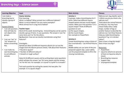 Classifying Animals With Branching Keys Outstanding Ks2 Science Lesson Teaching Resources Classifying Animals With Branching Keys Outstanding Ks2 Science Lesson Teaching Resources