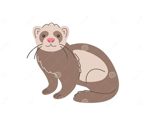 Cute Smiling Ferret Doodle Hand Drawn Character Stock Vector Illustration Of Emblem Linear