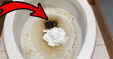 საპარსი ქაფი უნიტაზში მისი ფუნქციები