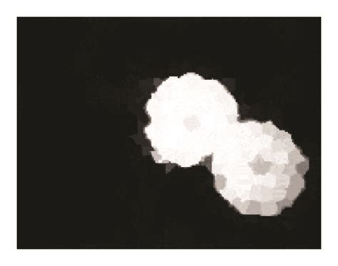 Main Framework Of The Proposed Approach A Input Image B Coarse Download Scientific