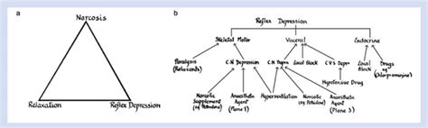 A The More Accurate Triad According To T Cecil Gray Of General