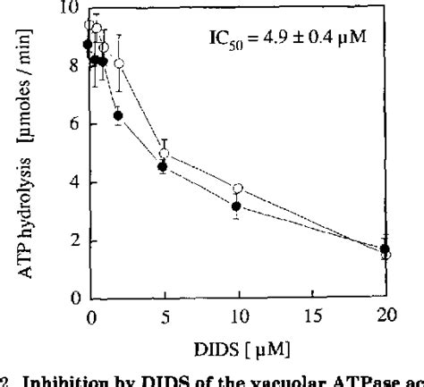 Figure 2 From An Anion Binding Site That Regulates The Glutamate Transporter Of Synaptic