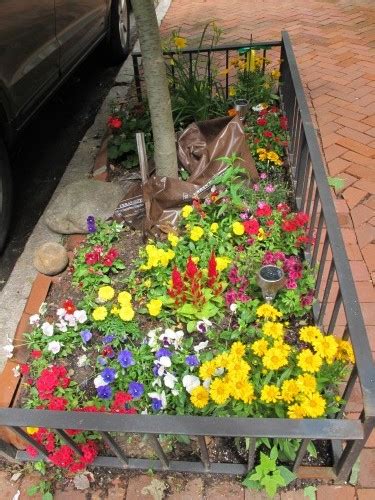 “any Recommendations For A Person Or Company To Install A Tree Box