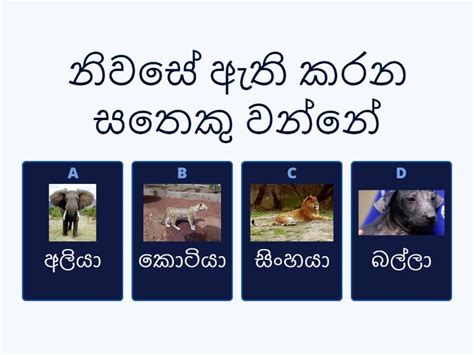 අප අවට සත්තු 3 වසර පරිසරය Cuestionario