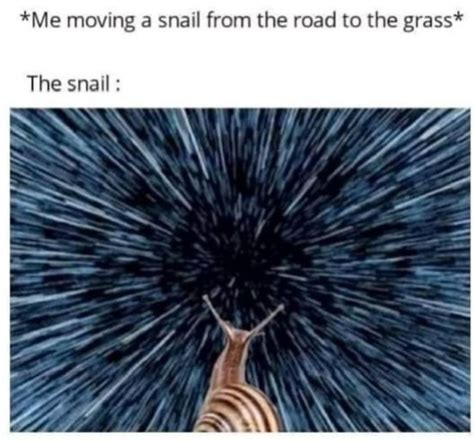 Snail Warp R Snails