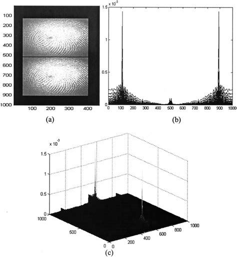 Fingerprint Verification A Input Joint Image B 2d Correlation Download Scientific Diagram