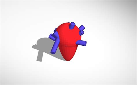3d Design Heart Human Heart Dont Abuse Tinkercad