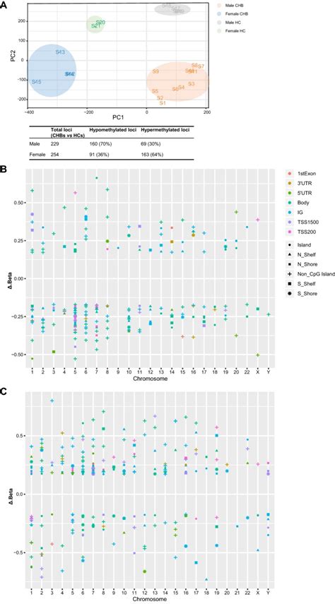 Dna Methylation And Snps In Vcx Are Correlated With Sex Differences In