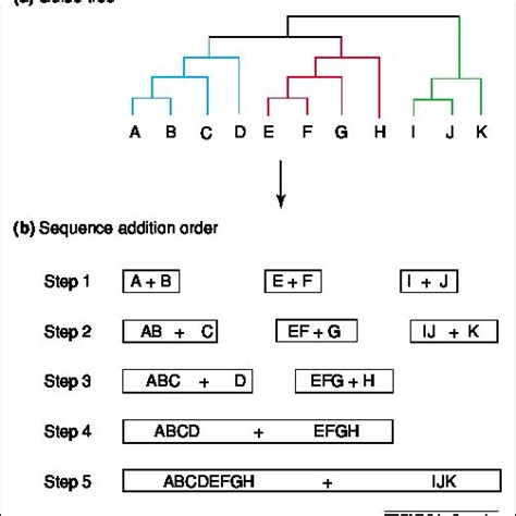 Trees Are About Groups Monophyletic Holophyletic Paraphyletic And