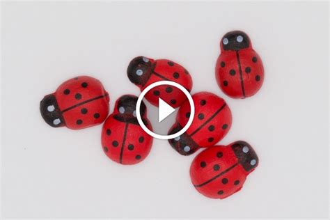 חיפושיות אדומות 30 יחידות 1 סמ ₪9 90 קסם של ממלכה