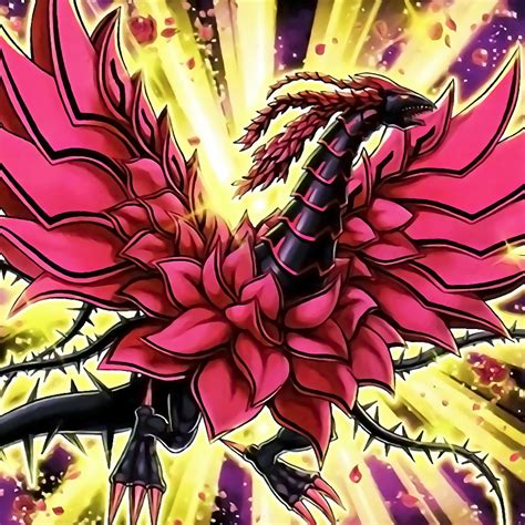 Yugioh Signer Dragons Set Stardust Black Rose Ancient