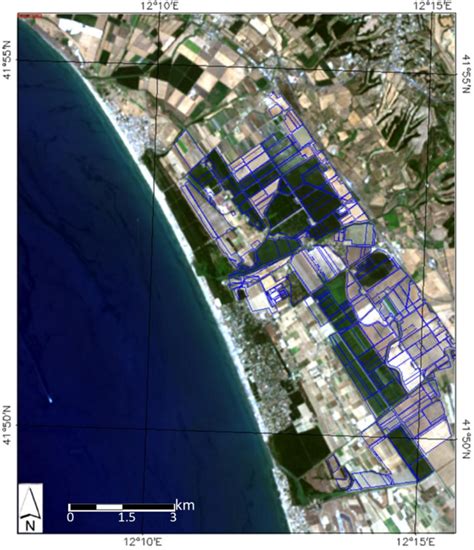 Figure 1 From A Comparison Between Standard And Functional Clustering Methodologies Application