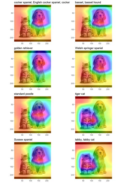 Class Activation Map