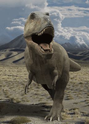 T Rex  Find And Share On Giphy