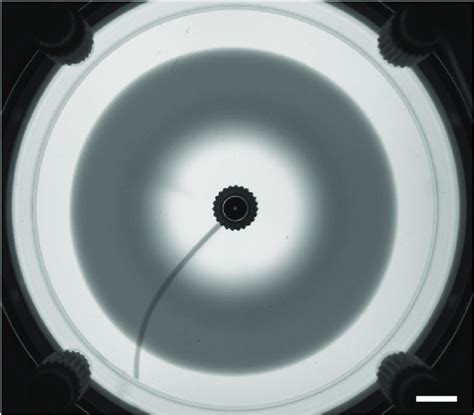 Reaction Diffusion Advection Front In A Chemical System Radial