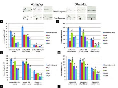 A And B Show Representative Electroretinogram Waveforms Of The Scotopic Download Scientific