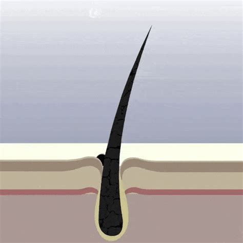 Stem Cell Solution Nordic Biolabs