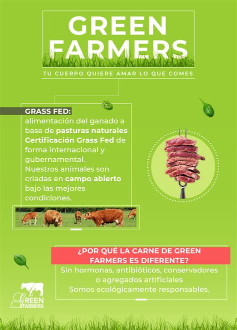 Green Farmers ¡conoce Qué Es Grass Fed Y Porque Es 100 Saludable