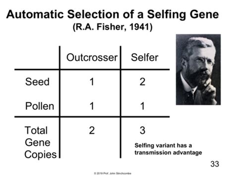 Bio120 Final Prep Flashcards Quizlet