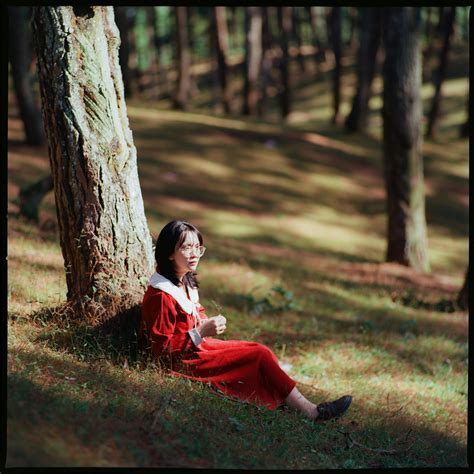 가을 고독 고요한 그림자 나무 나무 줄기 따뜻한 조명 레저 말린 꽃 멋진 그림자 방랑벽 배낭 베트남 빨간 스웨터 삼림지대 숲 숲속 환경 스타일