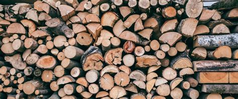 introduction to markov chains ai for text generation part i dev