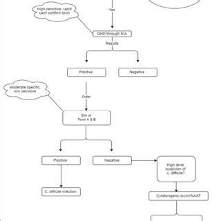 C Difficile Testing Protocol Download Scientific Diagram