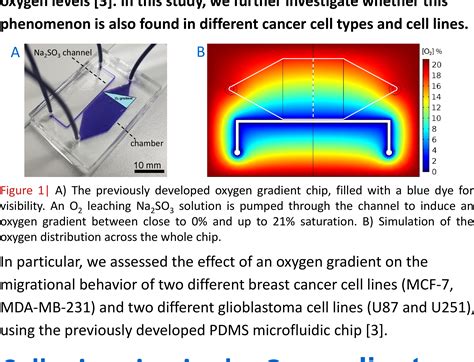 Figure 1 From A Microfluidic Oxygen Gradient Device To Assess Emt State And Migrational