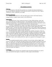 Lab Report Anatomy Docx Cherryl Chen A P Lab Report May St The Language Of