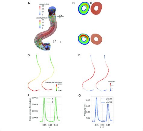Cardiac Wall Motion Induces Substantial Pulsatile Pressures And Download Scientific Diagram