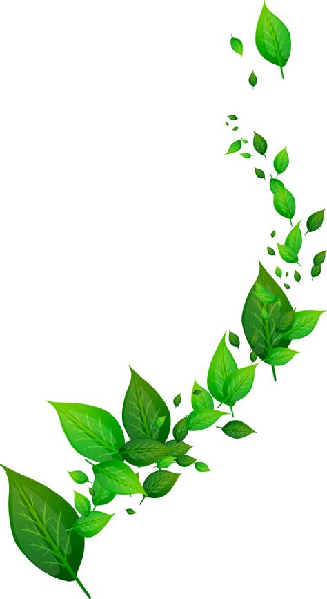 Dibujos De Hojas Verdes